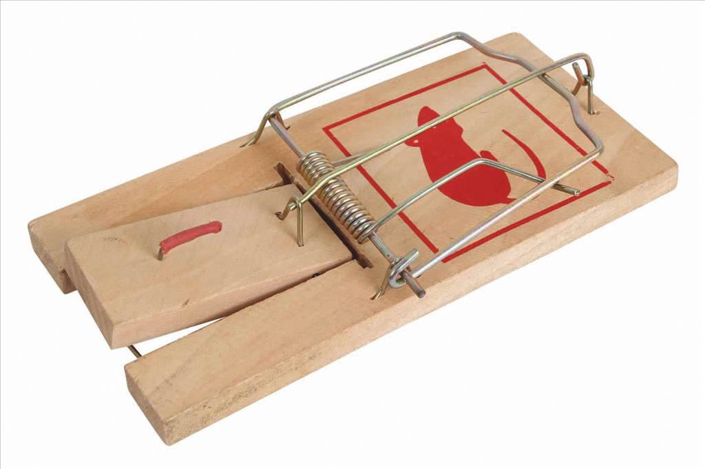 Tapette à rats en bois - Nortene