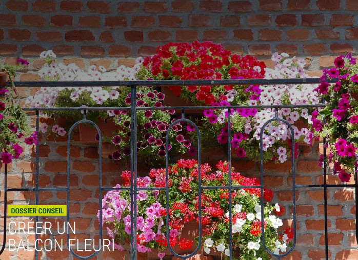 Comment créer un balcon fleuri ? - Nortene