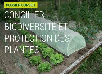 5 manchons de protection anti-rongeurs et gibiers - Nortene